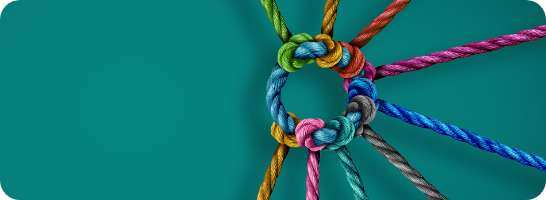 Connect Secure Essential Eight